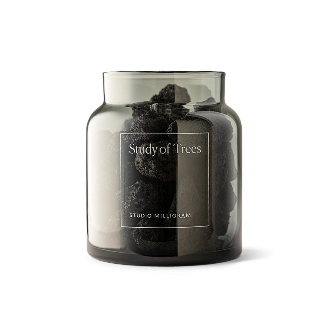 Studio Milligram Study of Trees Scented Volcanic Rock Set