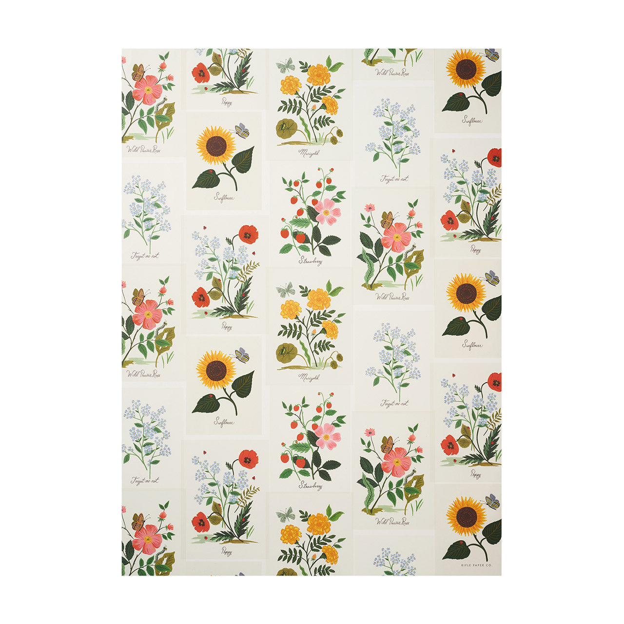 Rifle Paper Co. Botanical Wrapping Sheet – Milligram