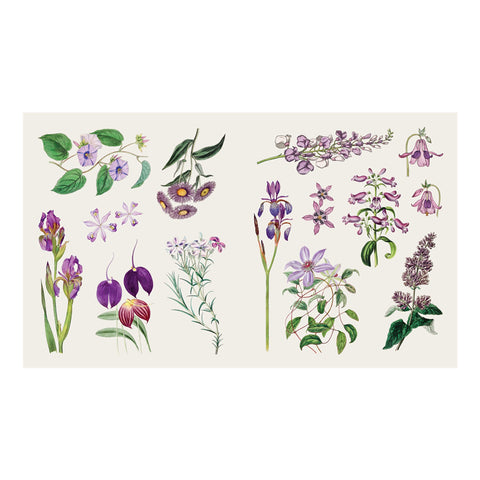 The Sticker Treasury of Butterflies and Blooms – Milligram