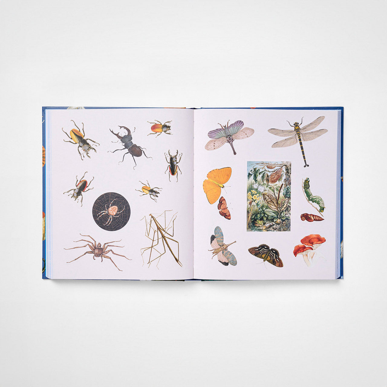 The Sticker Treasury of the Mystical and Esoteric – Milligram