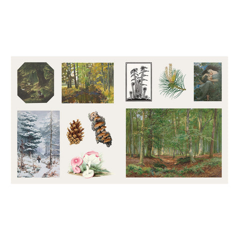 The Sticker Treasury of Woodland Adventures – Milligram