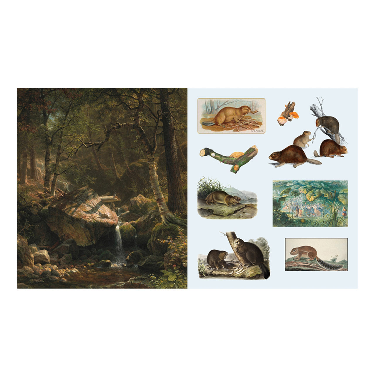 The Sticker Treasury of Woodland Adventures – Milligram